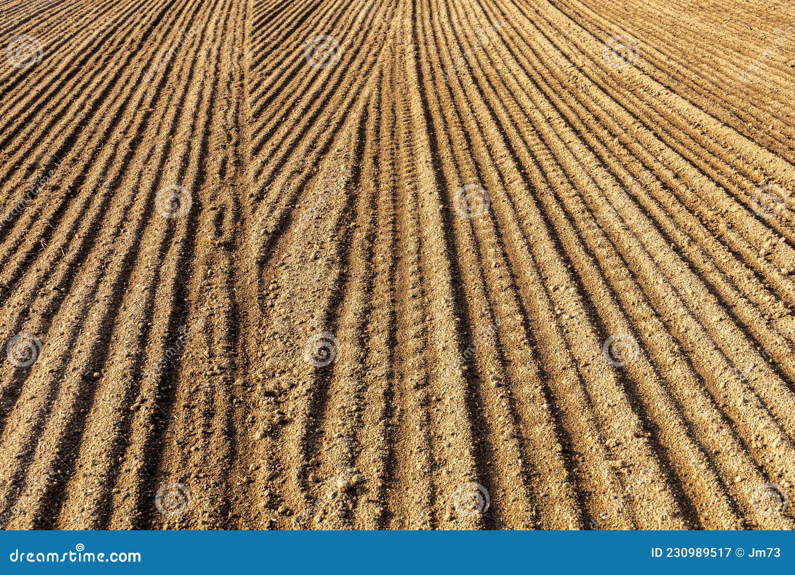 Detail of Empty Field with Lines Stock Image - Image of farming ...