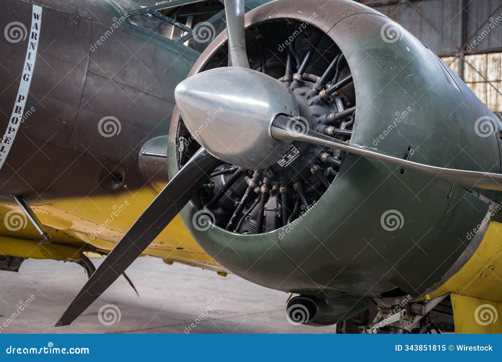 Detail of the Engine and Propeller of the Old Plane from the Second ...
