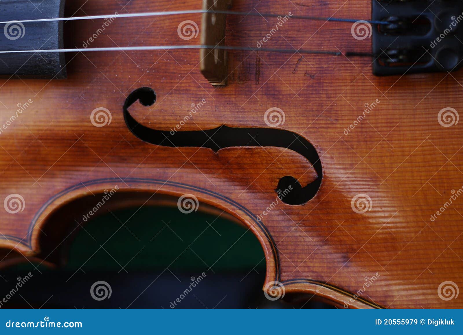 Detail on F-hole and Strings of the Violin Stock Image - Image of ...