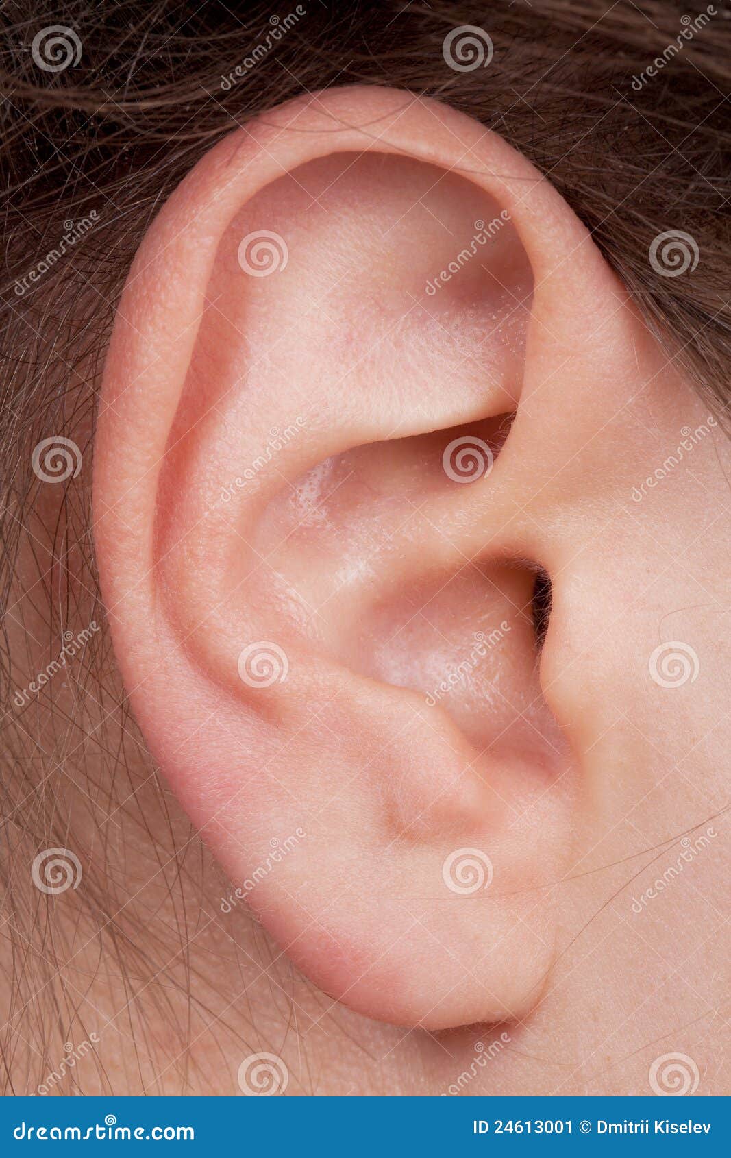 Detail Of The Face With A Human Ear Stock Image - Image: 24613001