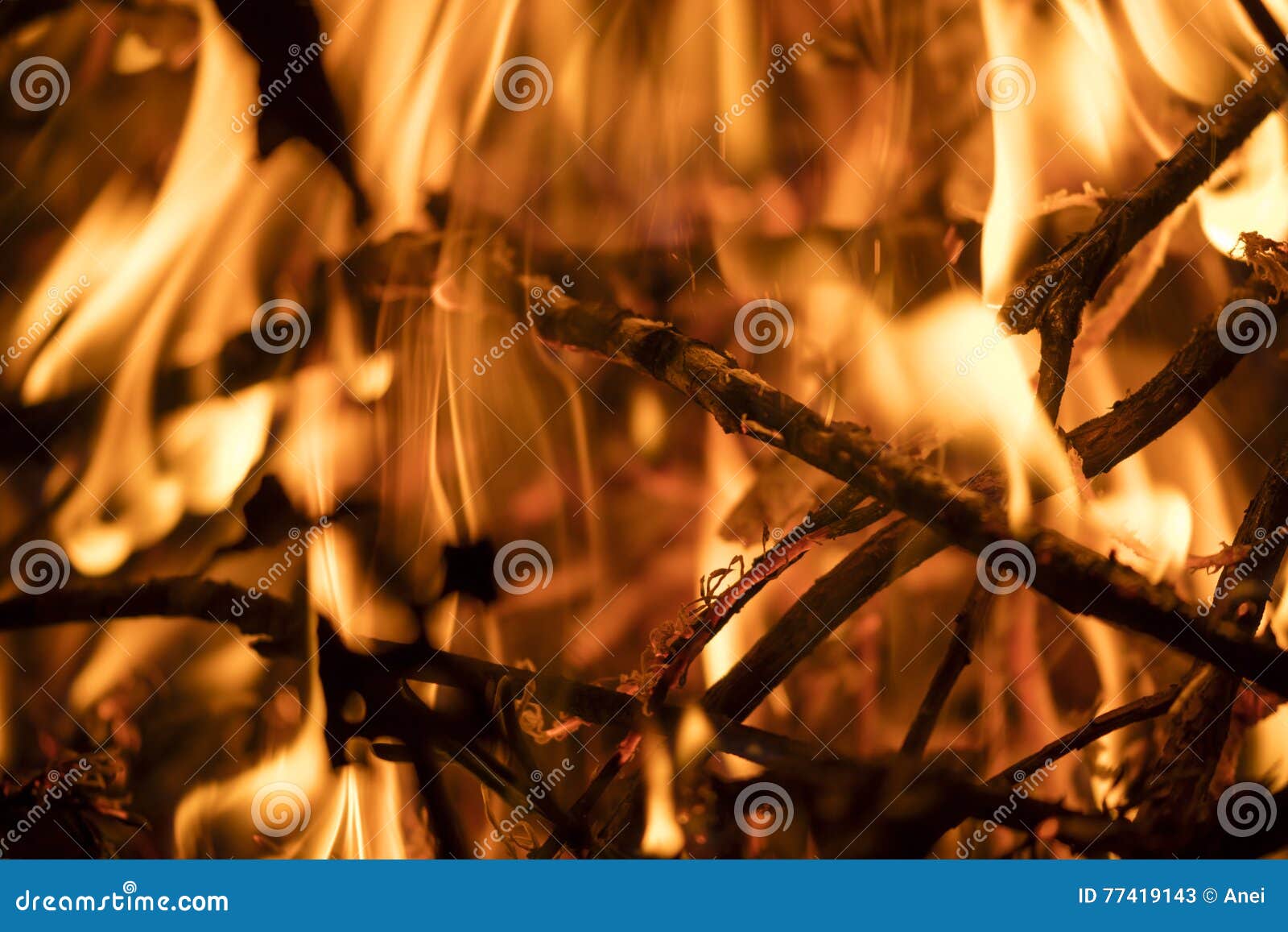 Detail on the Fire with Burning Twigs, Logs and Leaves Stock Image ...