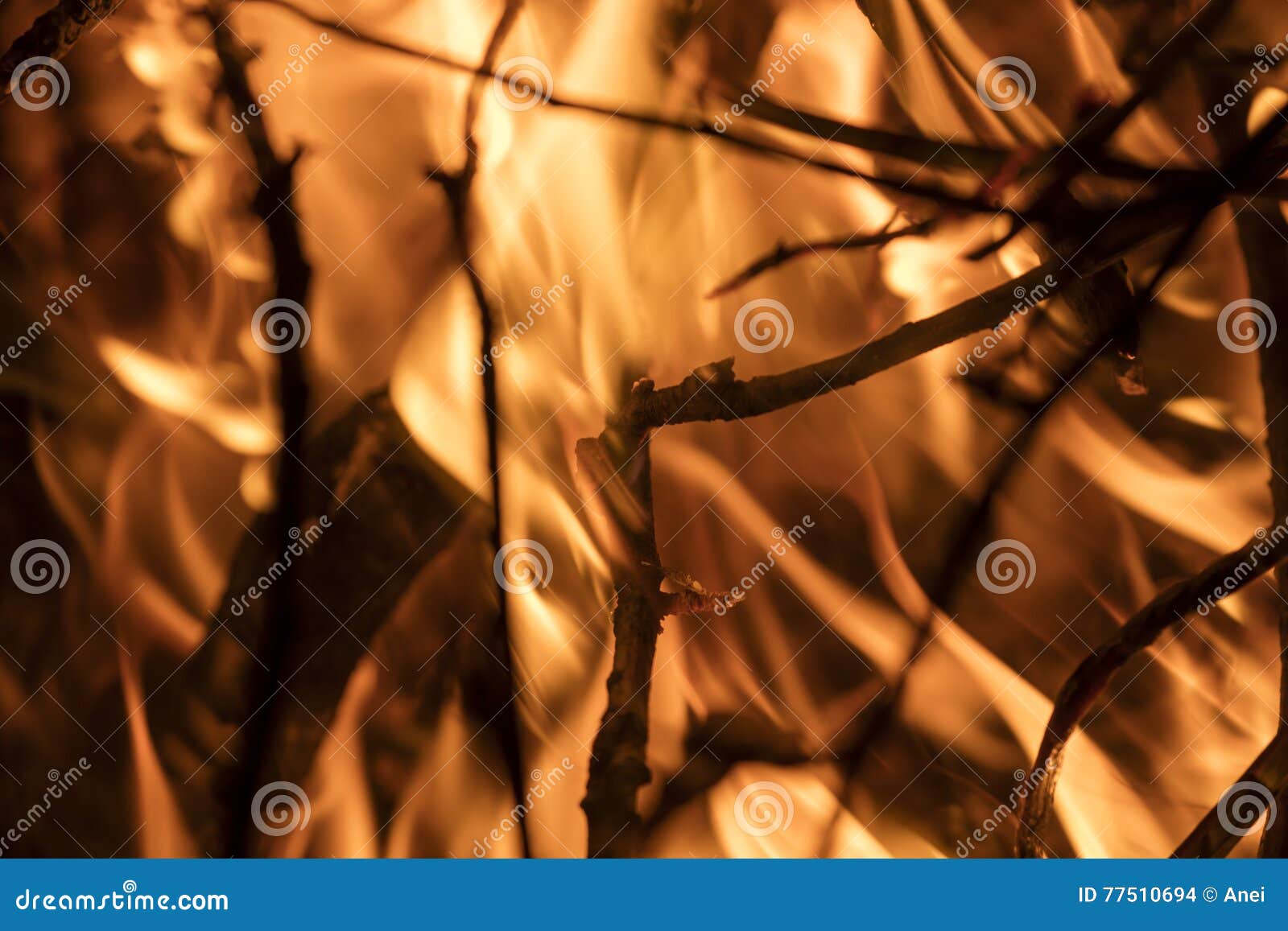 Detail on the Fire with Burning Twigs, Logs and Leaves Stock Photo ...