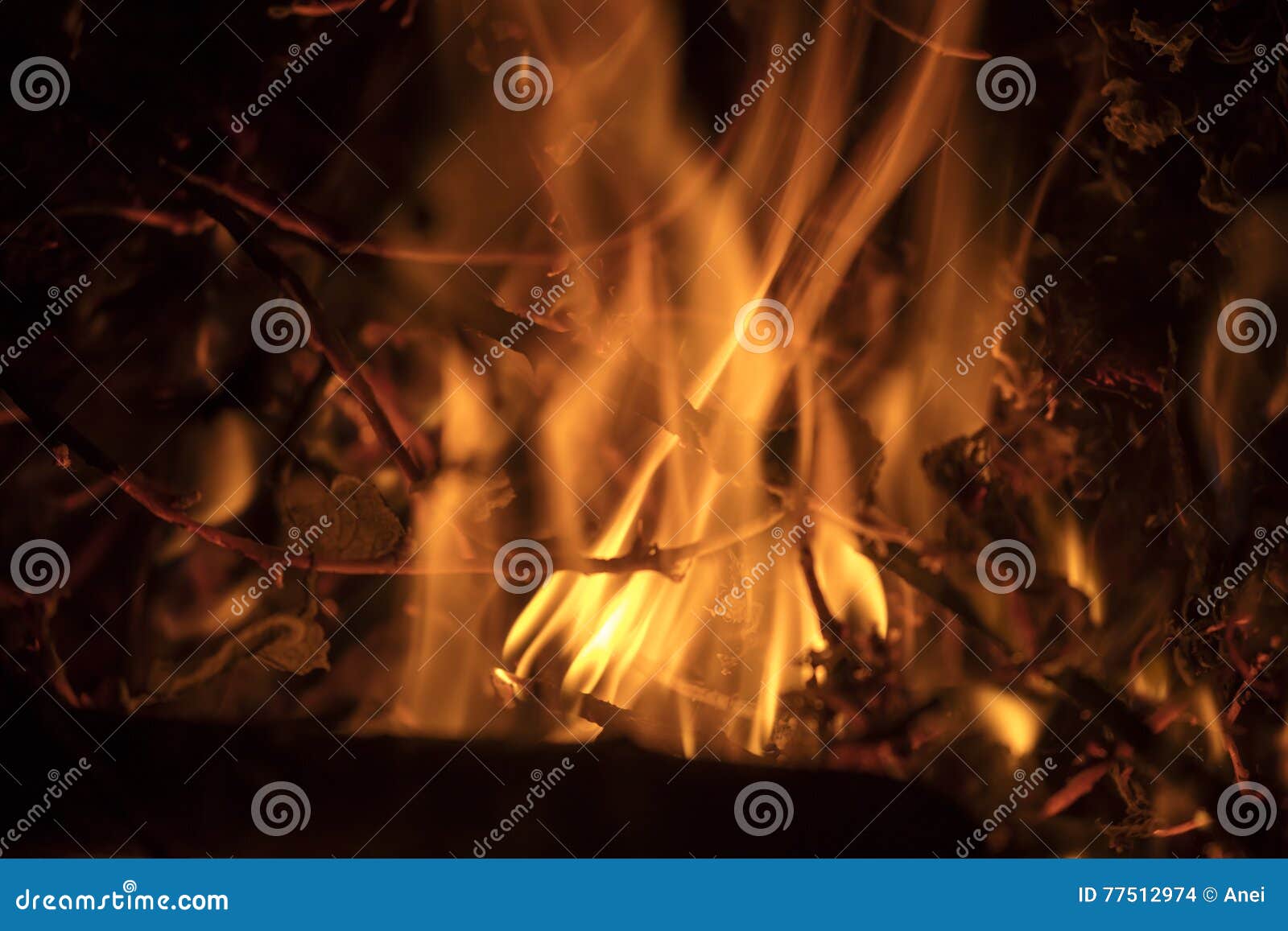 Detail on the Fire with Burning Twigs, Logs and Leaves Stock Photo ...