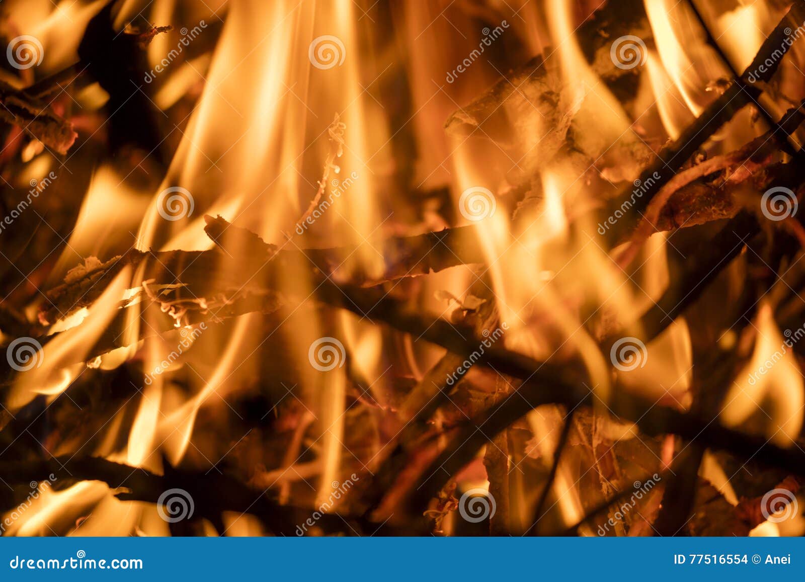 Detail on the Fire with Burning Twigs, Logs and Leaves Stock Photo ...