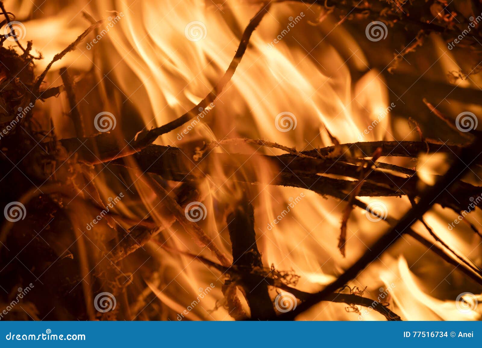 Detail on the Fire with Burning Twigs, Logs and Leaves Stock Photo ...