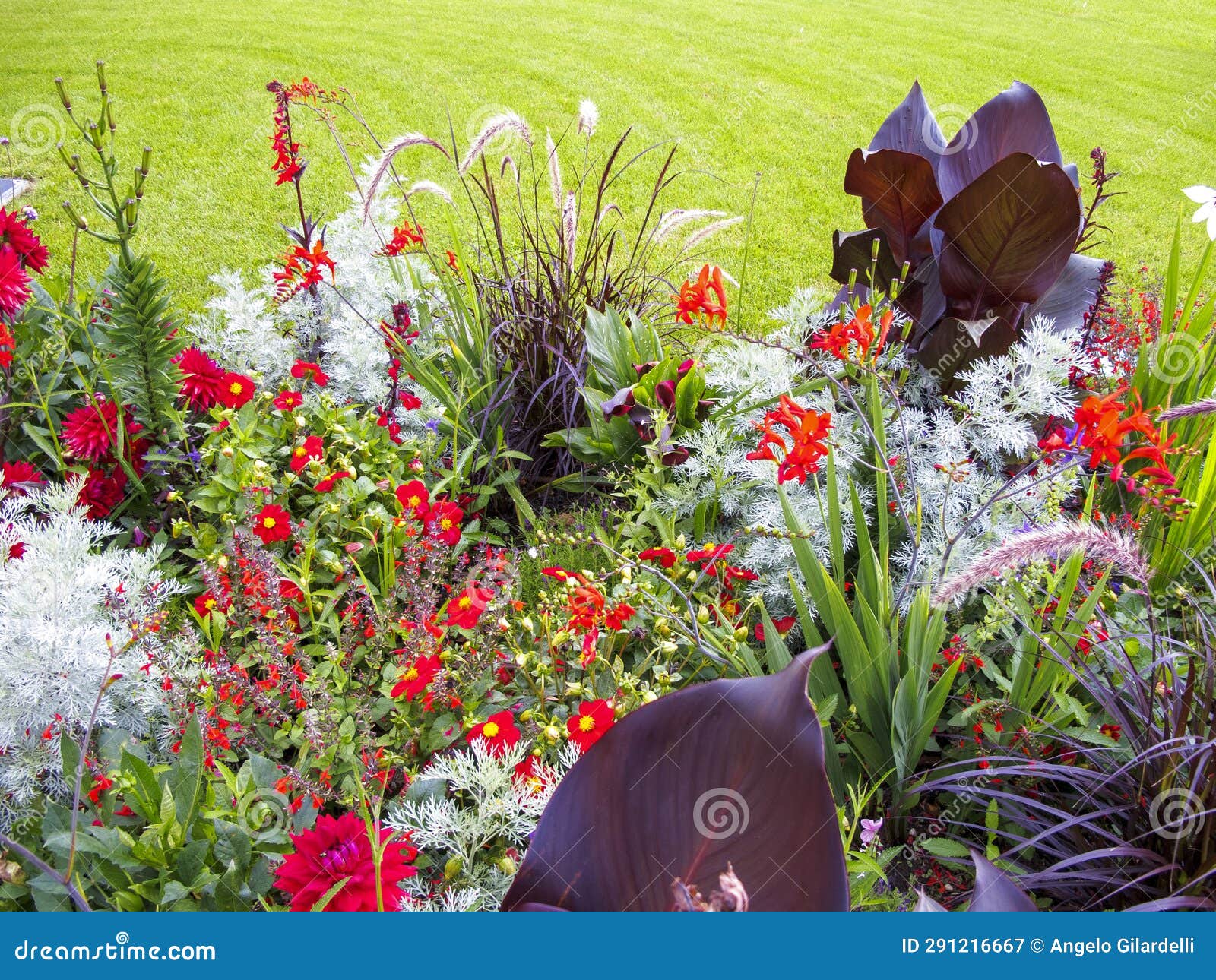 Detail of Flower Garden with Many Different Plants Stock Image - Image ...