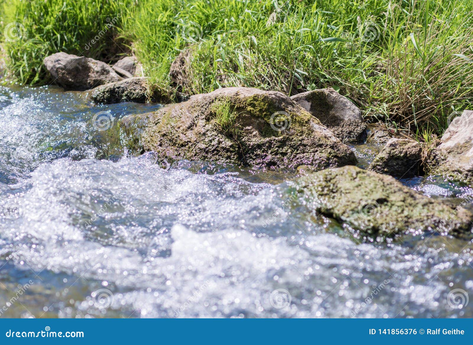 Fresh Mountain Stream Flows Down the Mountain Stock Photo - Image of ...