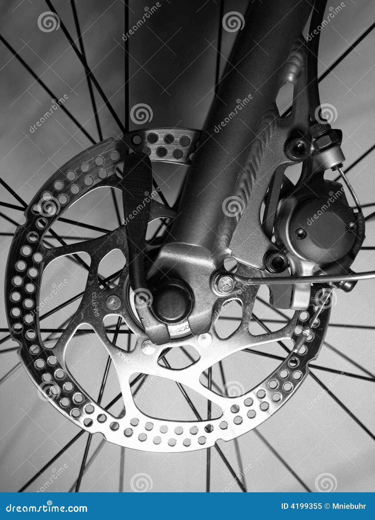Detail of Front Tire of a Bicycle with Disk Brakes Stock Image - Image ...