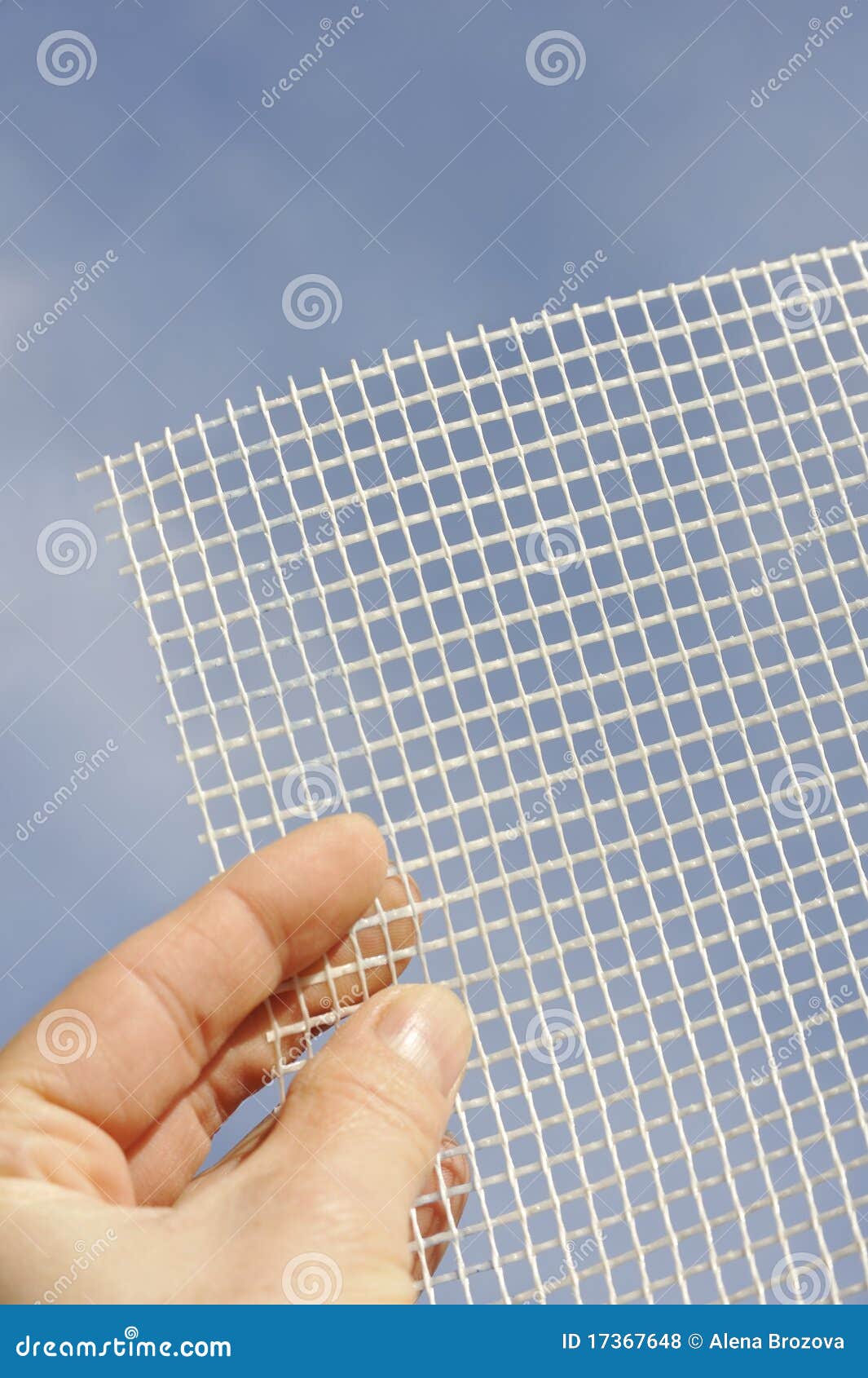 Detail of Glass-fiber Mesh in Hand Stock Photo - Image of construction ...