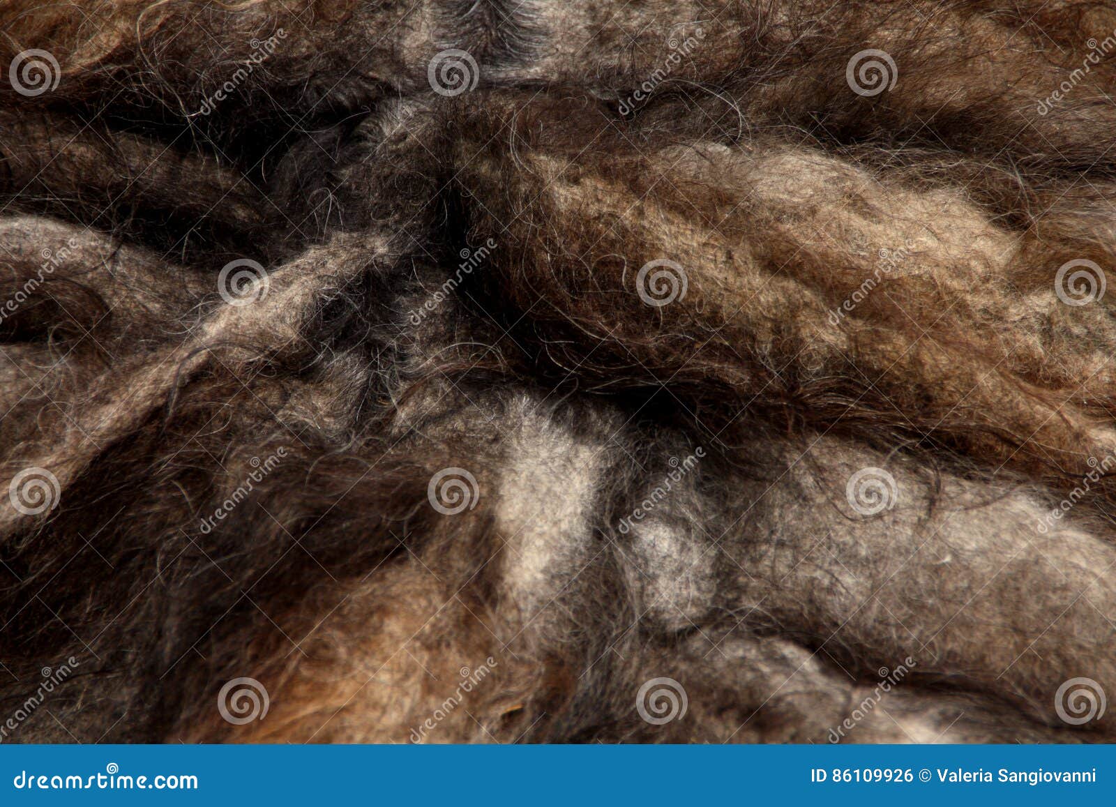 Detail of the hair stock photo. Image of hairs, colored - 86109926