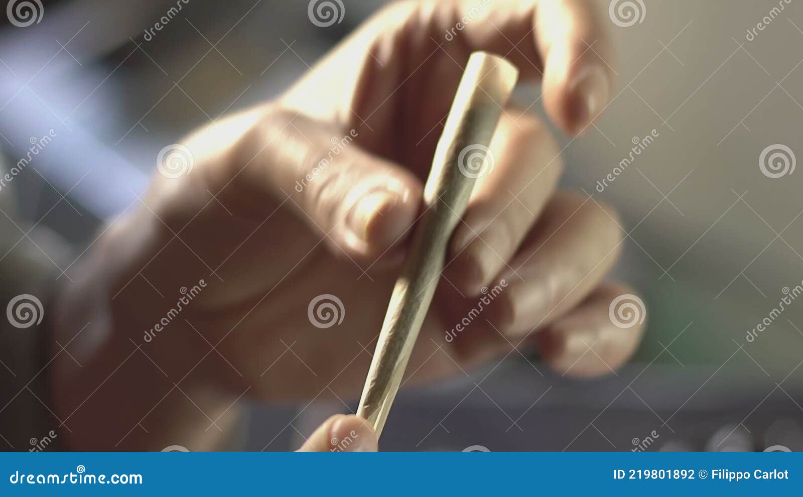 Hands rolling a joint 3 stock footage. Video of hashish - 219801892