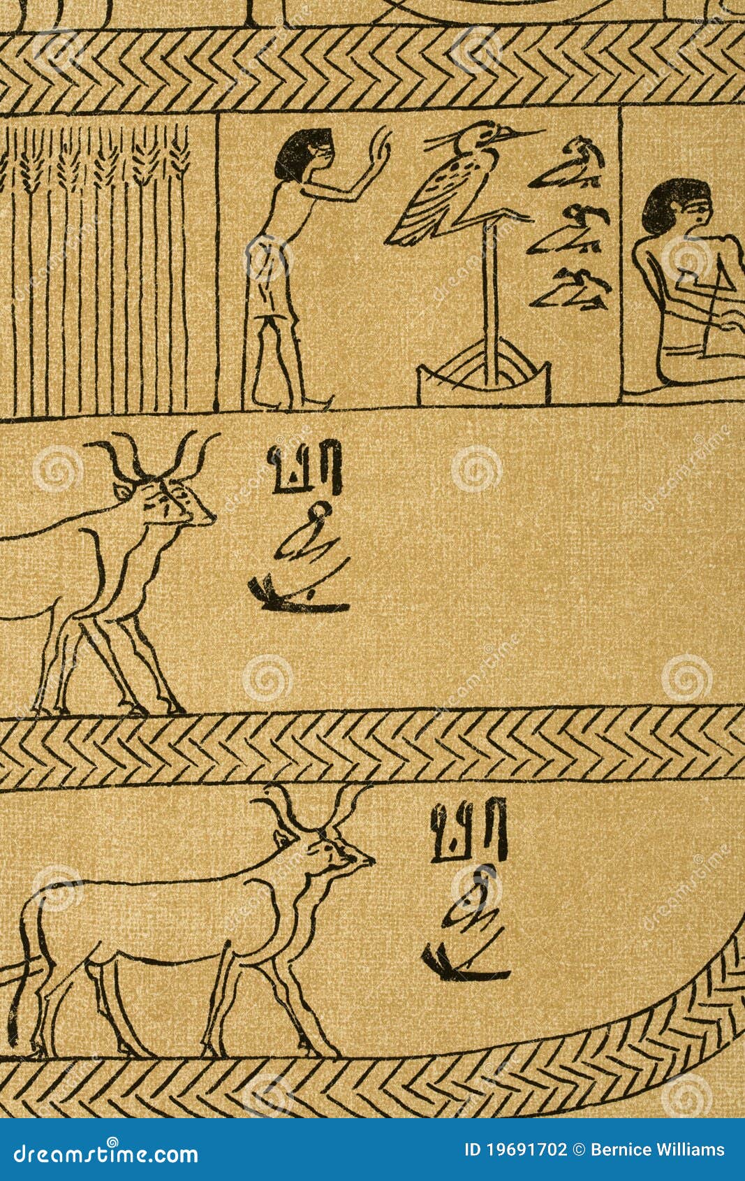 Detail of Hieroglyphic Text on Papyrus Stock Photo - Image of page ...