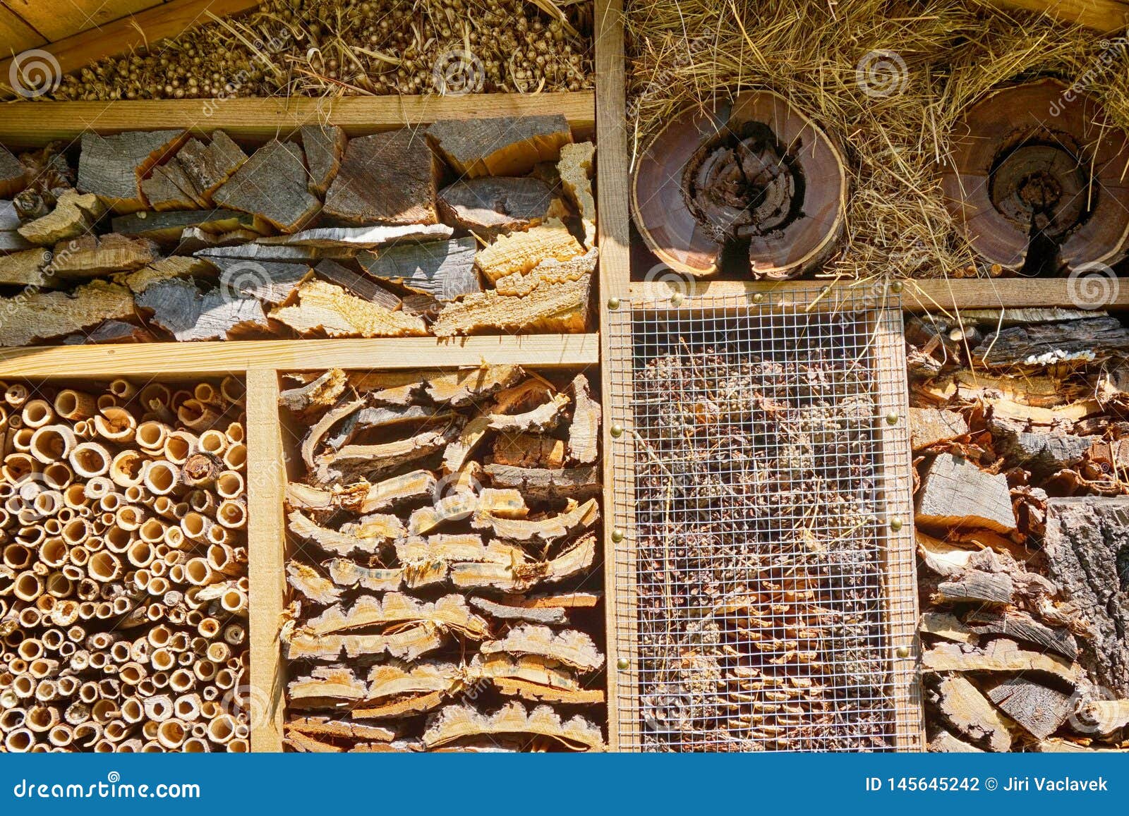 Detail of insect hotel stock photo. Image of wood, wild - 145645242