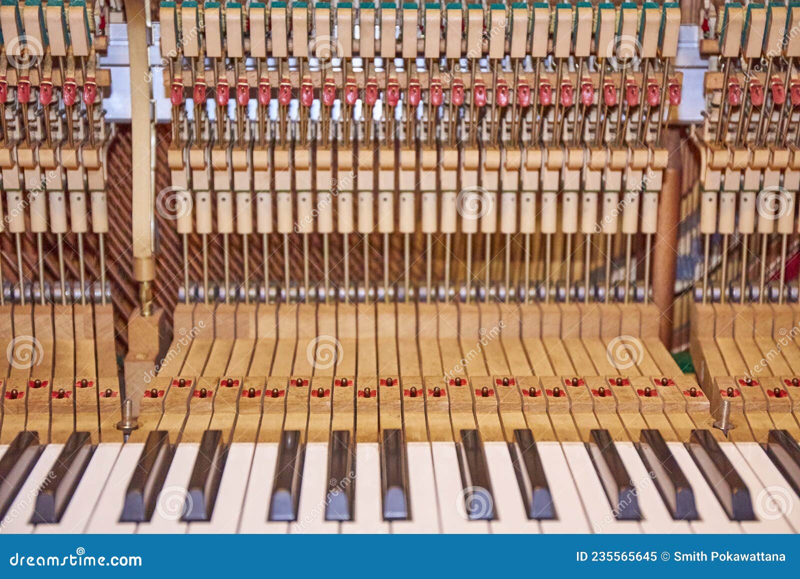 Detail inside of piano stock image. Image of equipment - 235565645