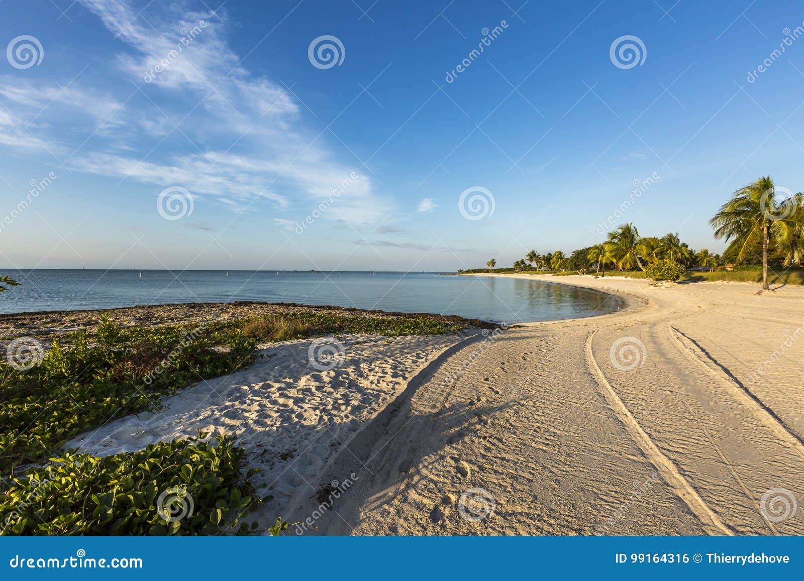 Scenery from Key West stock photo. Image of details, reef - 99164316
