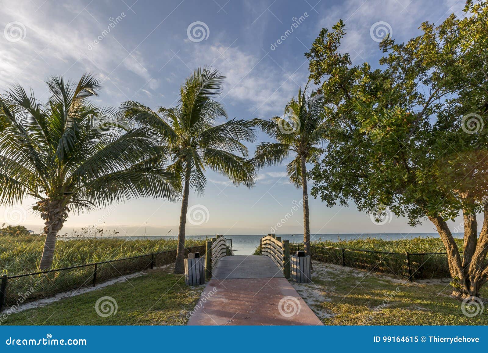 Scenery from Key West stock image. Image of beaches, detail - 99164615
