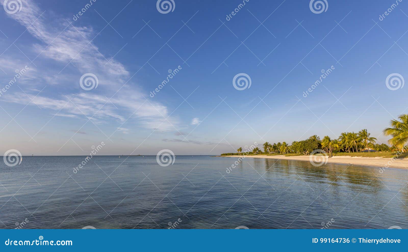 Scenery from Key West stock photo. Image of golf, close - 99164736