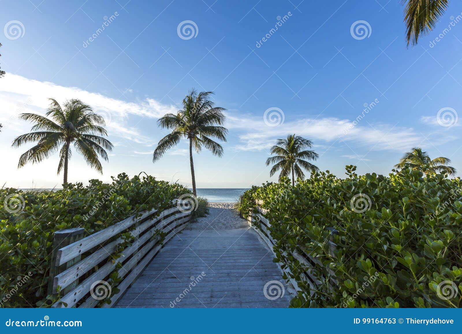 Scenery from Key West stock image. Image of golf, ocean - 99164763