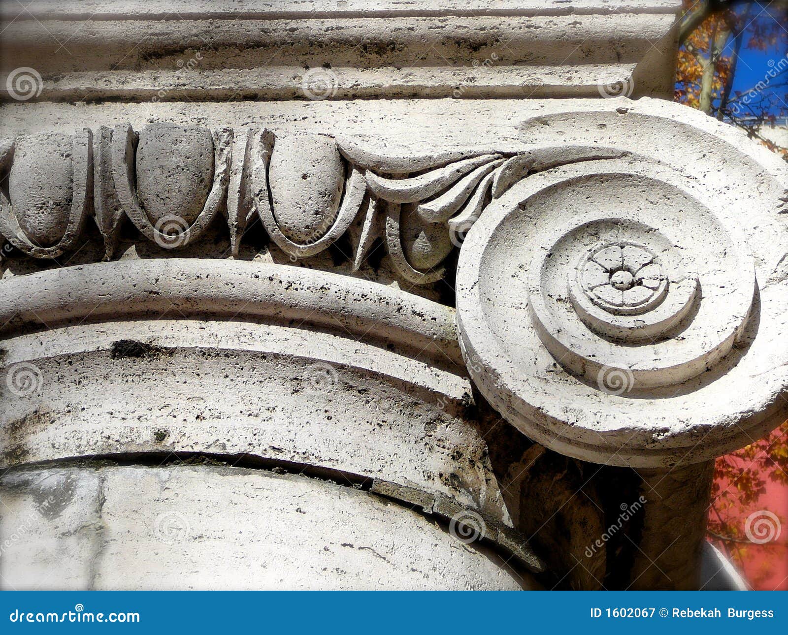 Detail of Ionic Capital and Column Base, C. 1910 Stock Image - Image of ...