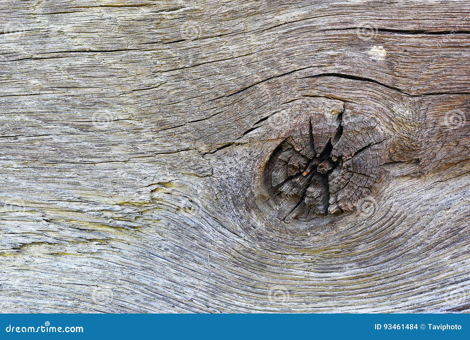 Detail of Knot on Oak Plank Stock Photo - Image of floor, nature: 93461484