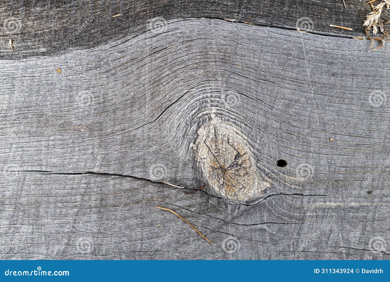 Detail of a Knot on a Weathered Wood Surface Stock Photo - Image of ...