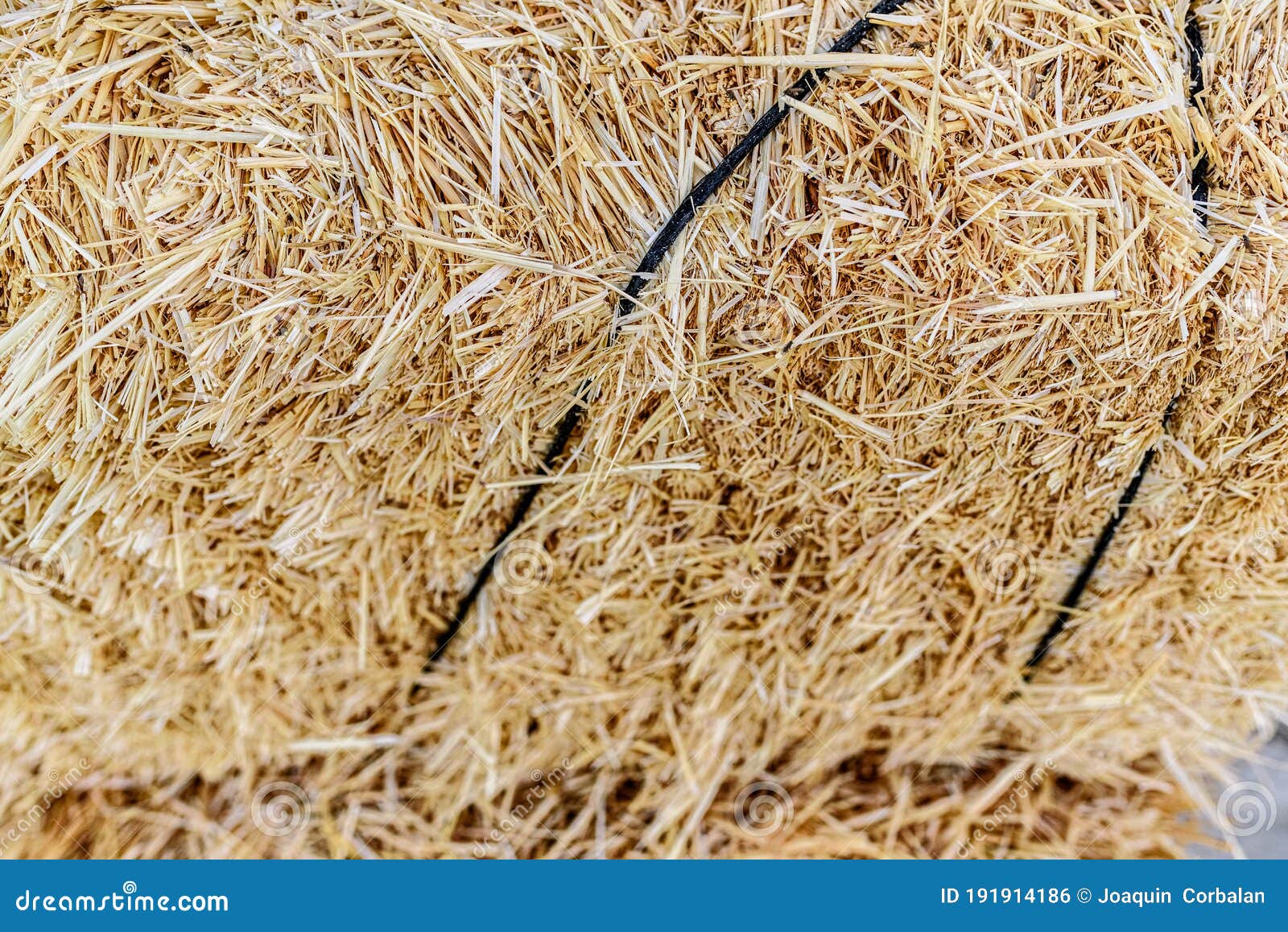 Detail of Knotted Dry Straw Stock Photo - Image of jute, natural: 191914186