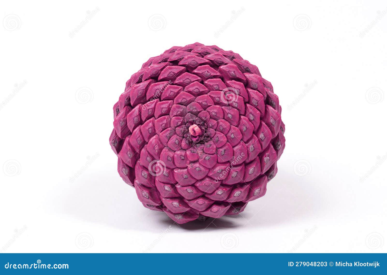 Detail of a Large Pine Cone, Pink Stock Image - Image of cone, timber ...