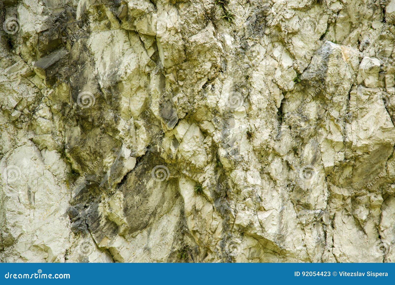 Detail of Limestone Surface Texture in Nature Covered Stock Image ...