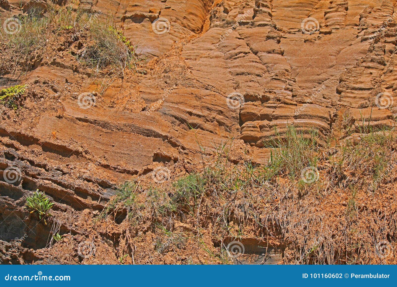 305 Molded Rock Formation Stock Photos - Free & Royalty-Free Stock ...