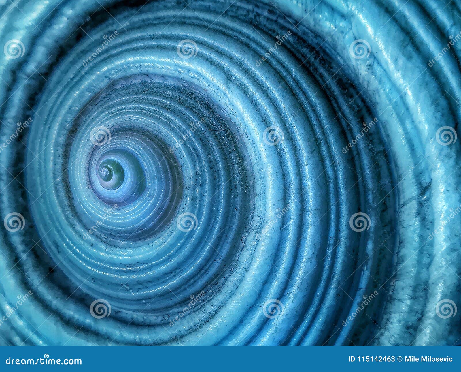 Nautilus Shell Closeup As a Background Pattern Stock Image - Image of ...