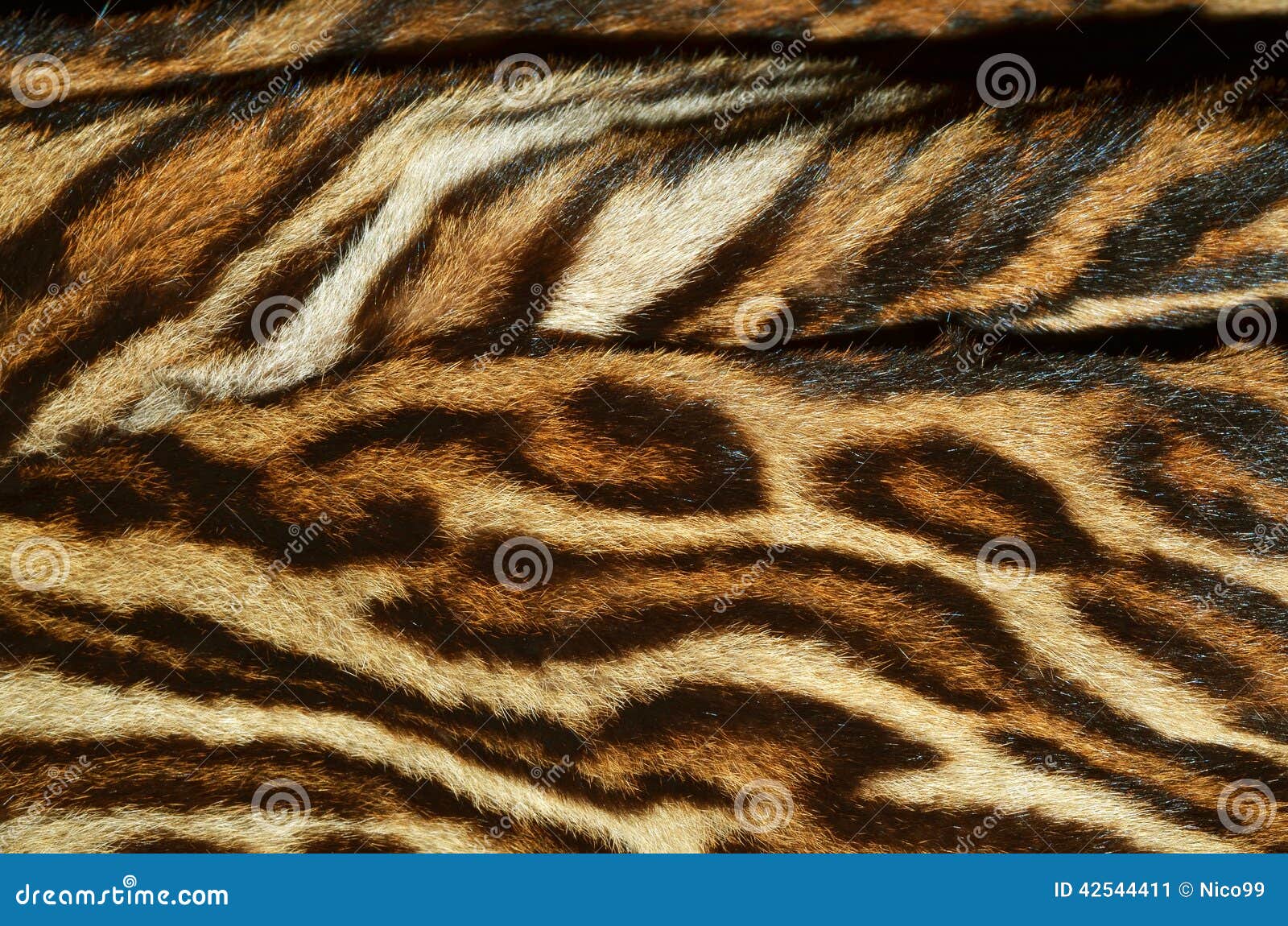 Detail of ocelot fur stock image. Image of safari, ocelots - 42544411