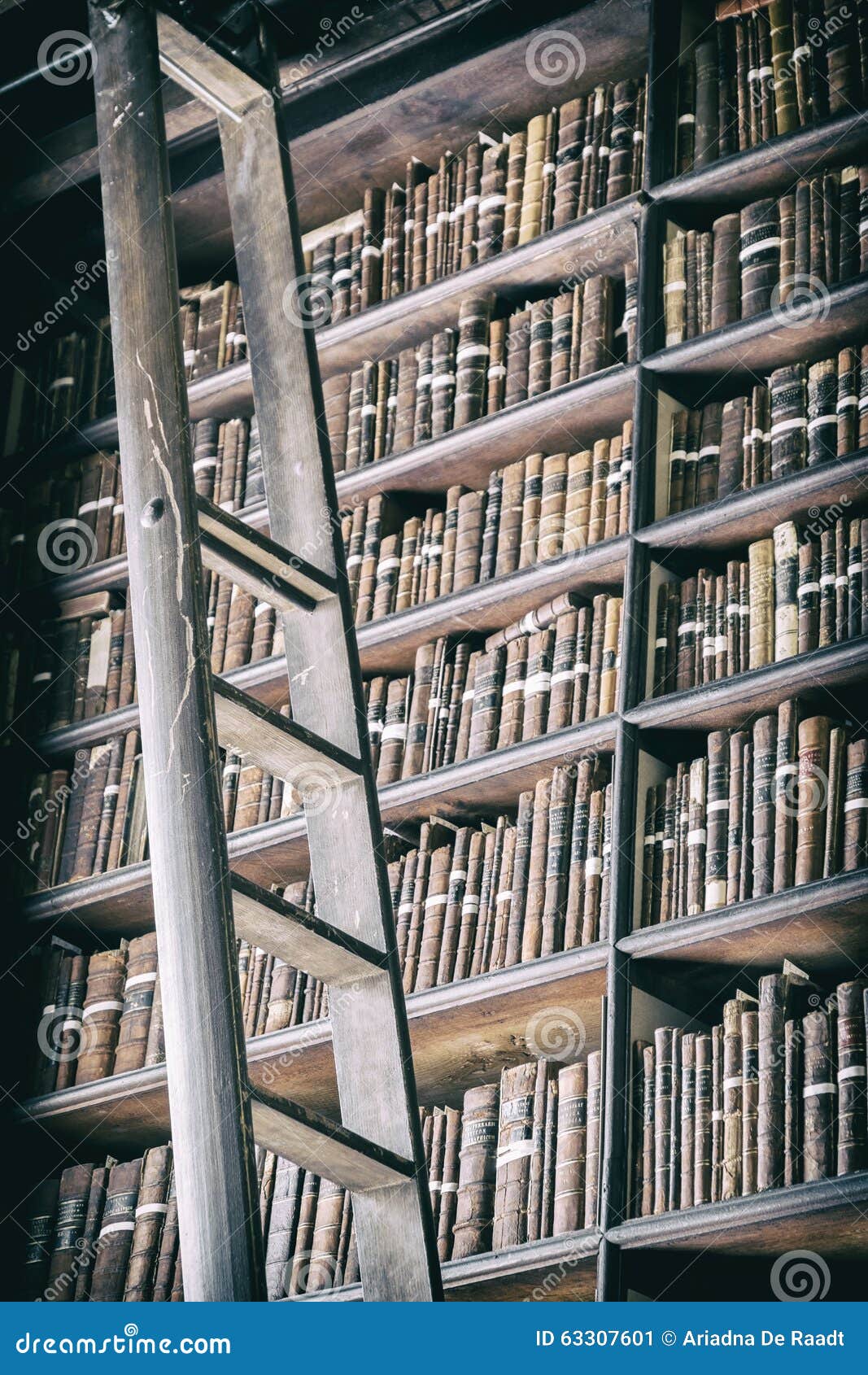 Detail of Old Classic Library Stock Image - Image of antique, archive ...