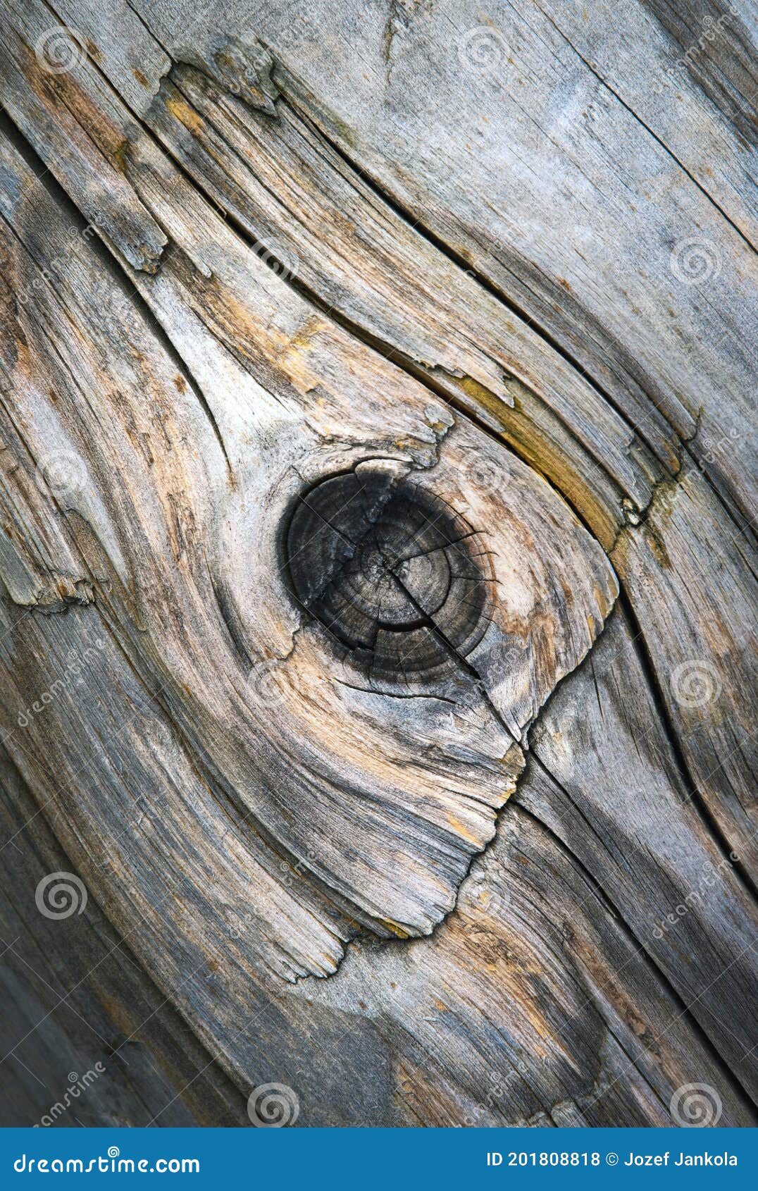Detail of Old Rotting Colored Wood Stock Photo - Image of aged ...