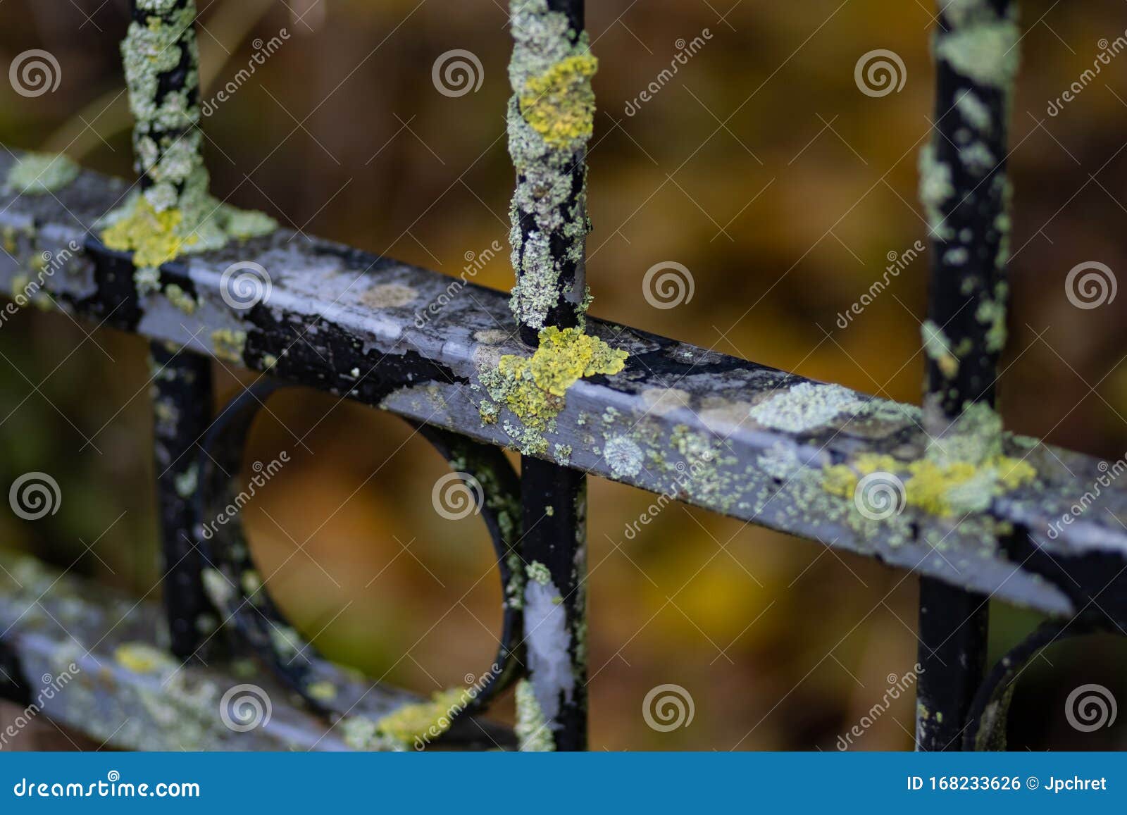 Detail of an Old Rusty Wrought Iron Gate Stock Photo - Image of retro ...