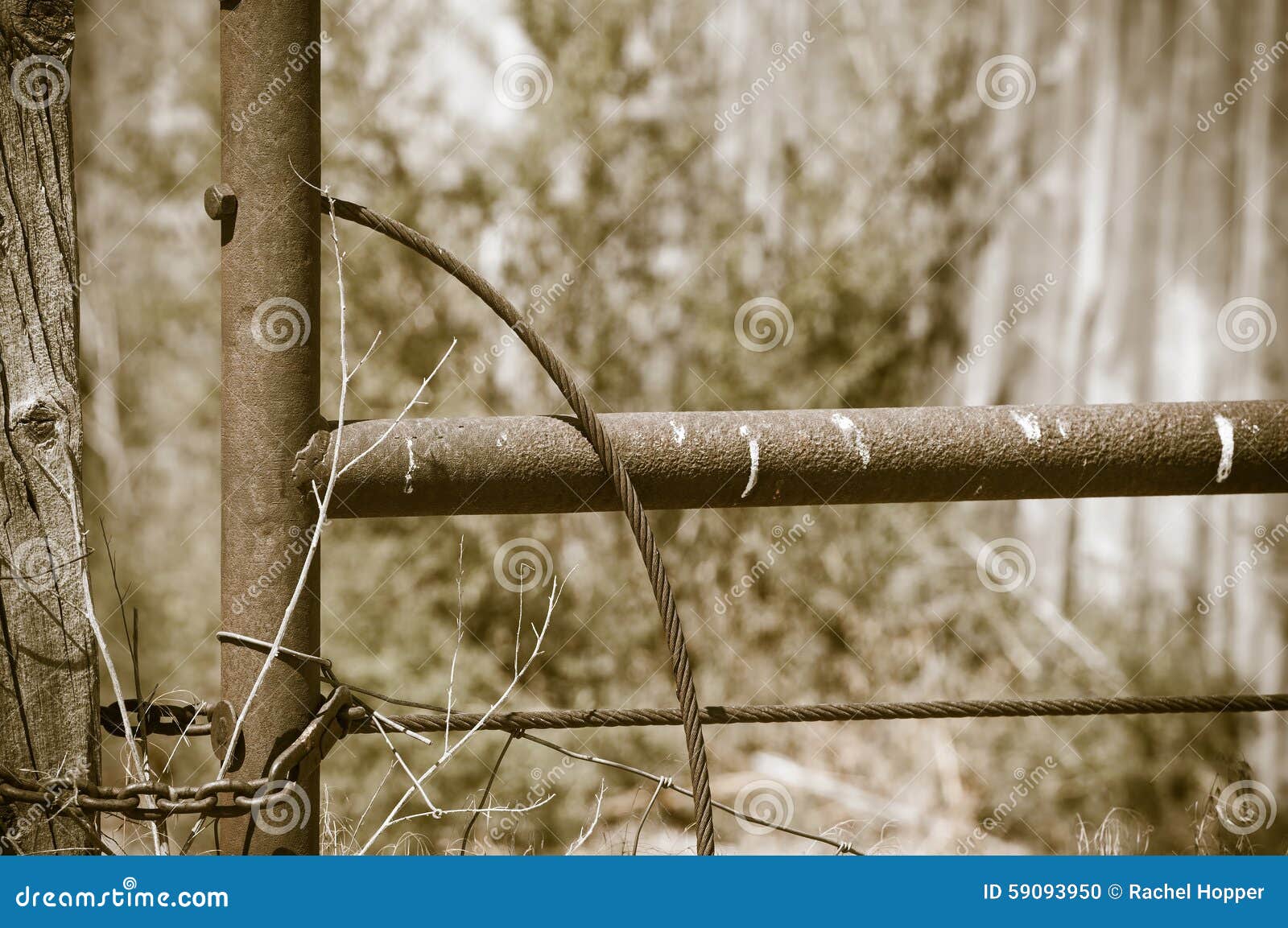 Detail of Old Wood and Rusted Iron Gate on a Rural Farm in Ameri Stock ...