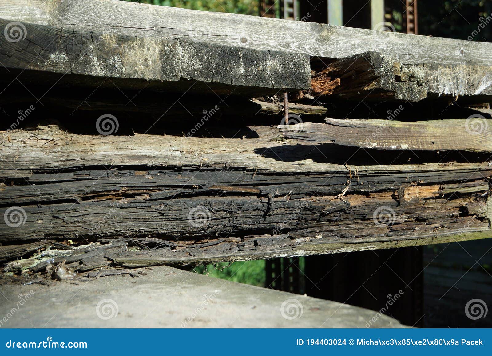 Detail of an Old Wooden Log Stock Photo - Image of rotten, board: 194403024