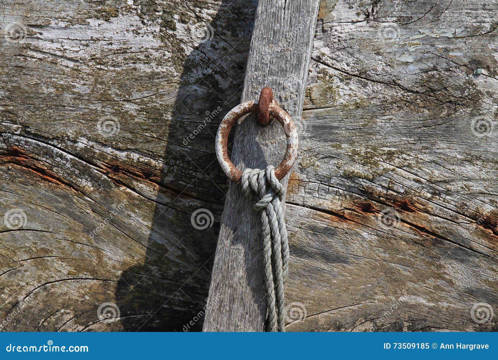 Detail of Old Wooden Panel and Old Rope Stock Image - Image of rotten ...