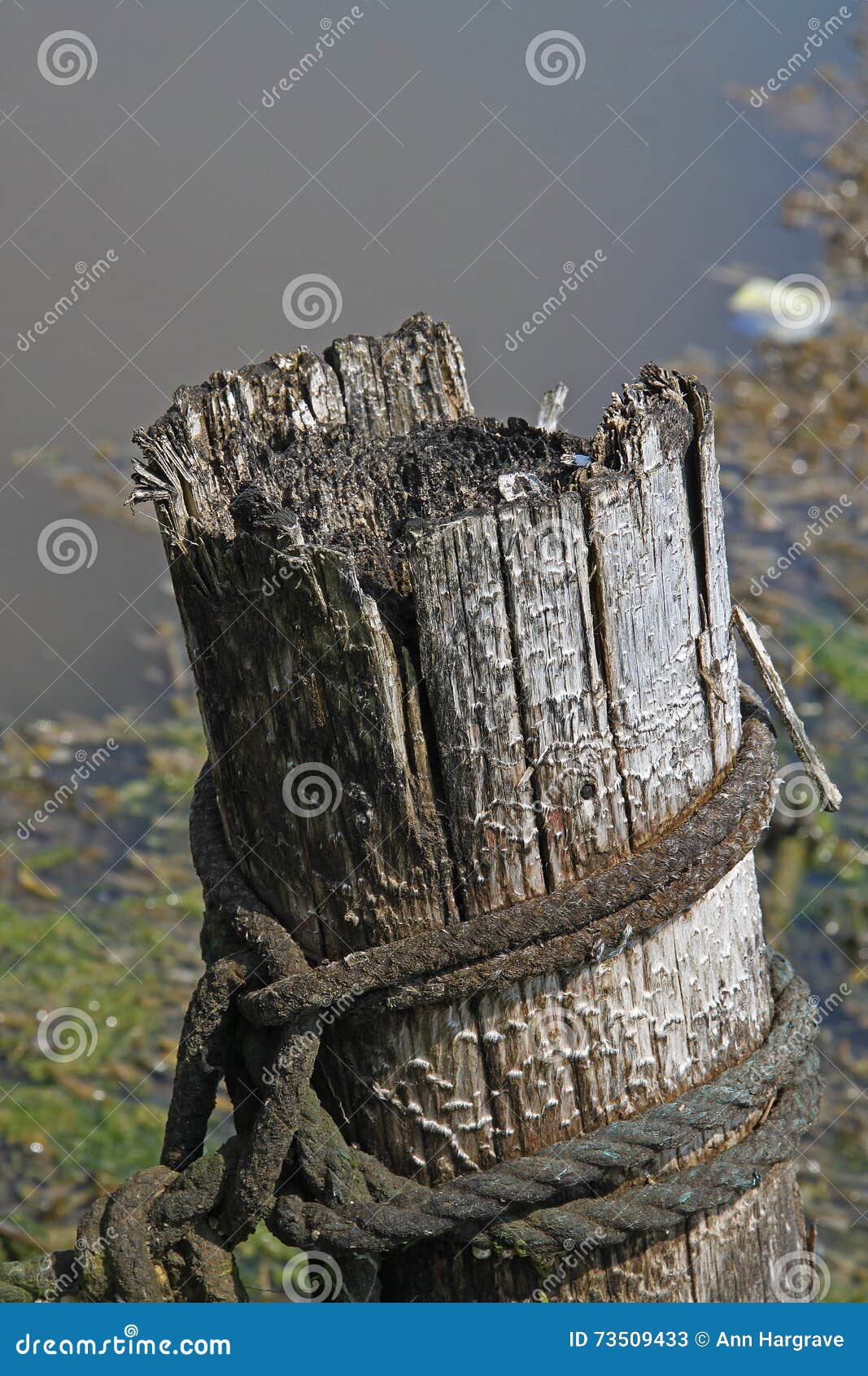 Detail of Old Wooden Post with Rope Stock Image - Image of rough, wood ...
