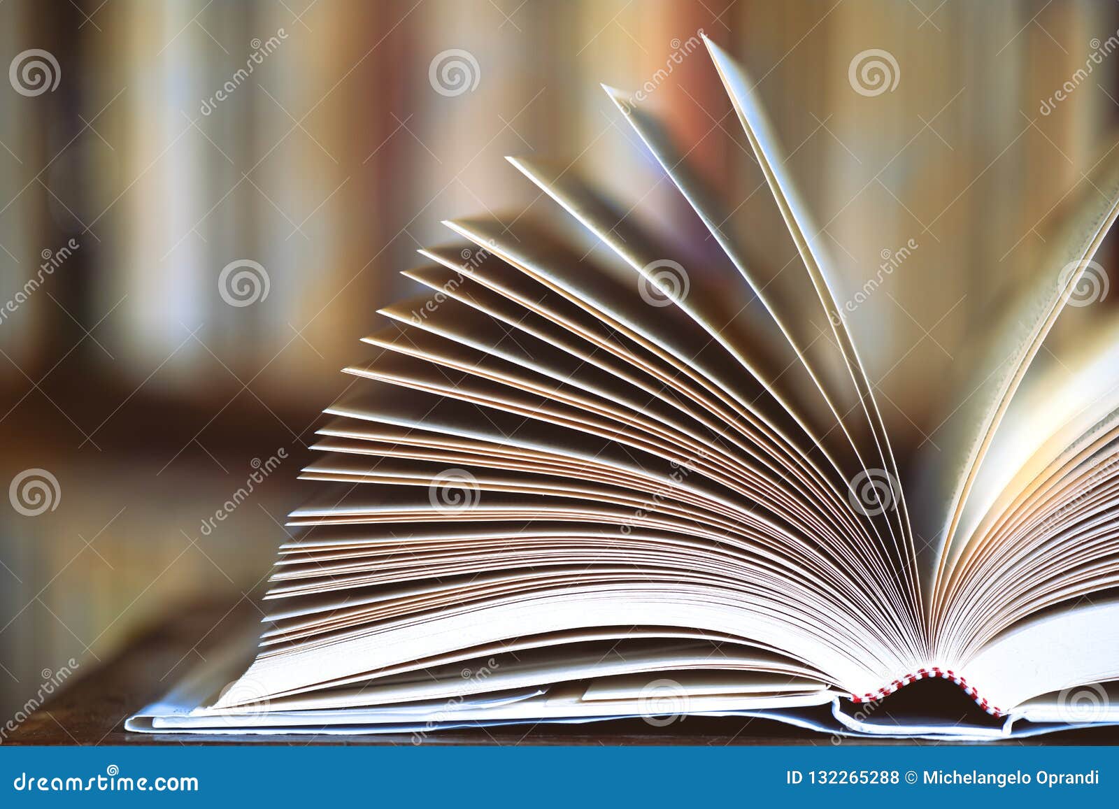 Detail of an Open Book in the Library Stock Photo - Image of knowledge ...