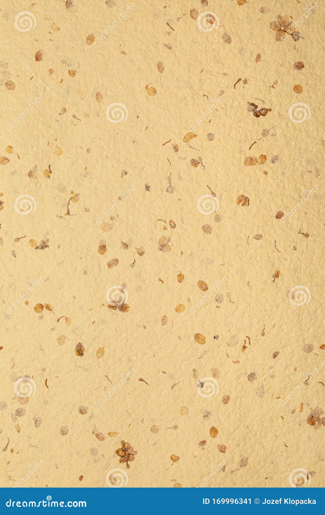 Detail Paper Structure. Paper Background Whit Flowers Stock Image ...