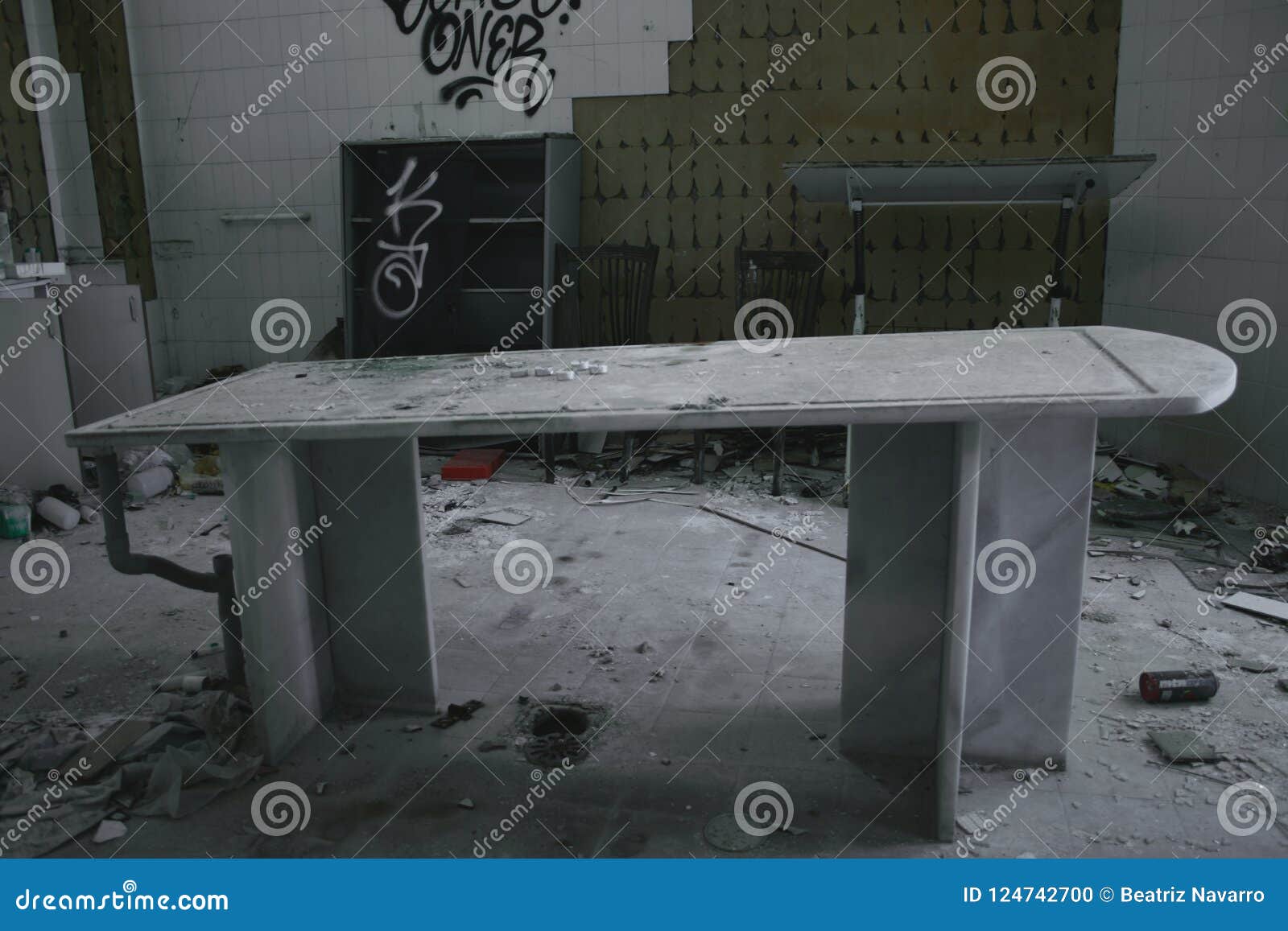 The MORGUE stock photo. Image of abandoned, medicine - 124742700