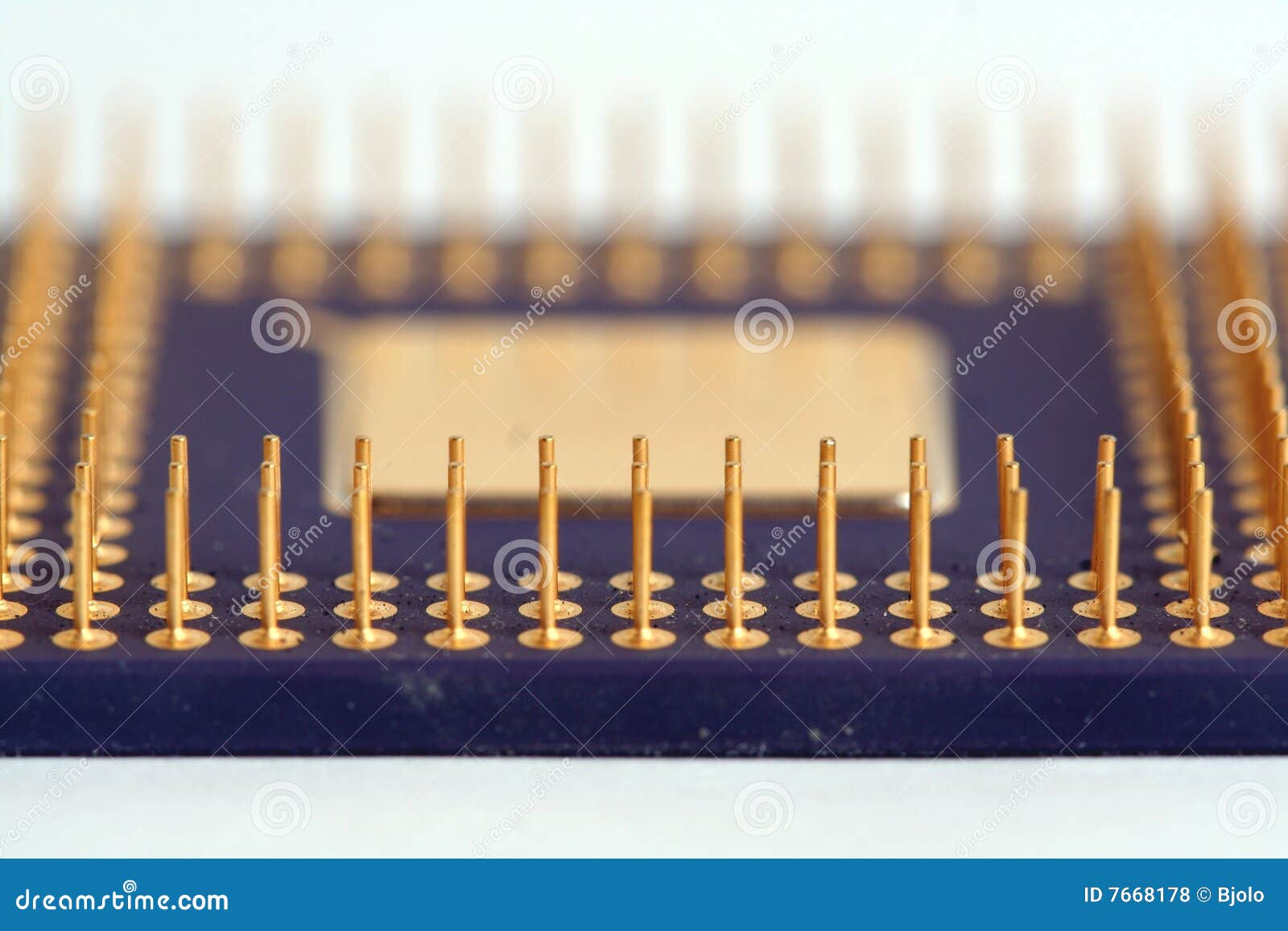 Detail of the Pins of a Processor Stock Photo - Image of processor ...