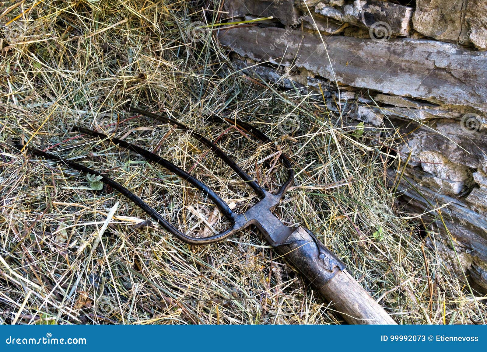 Detail of a Pitchfork Resting on a Pile of Hay in Rustic Stone B Stock ...
