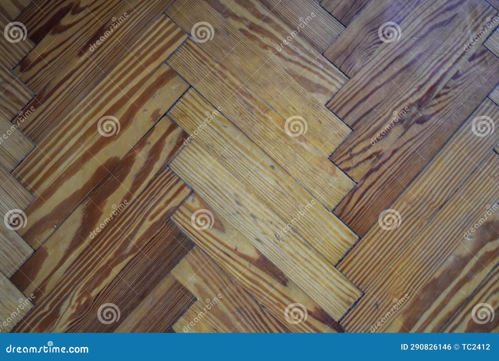 Detail of the Plot of a Pinewood Parquet Floor Stock Photo - Image of ...