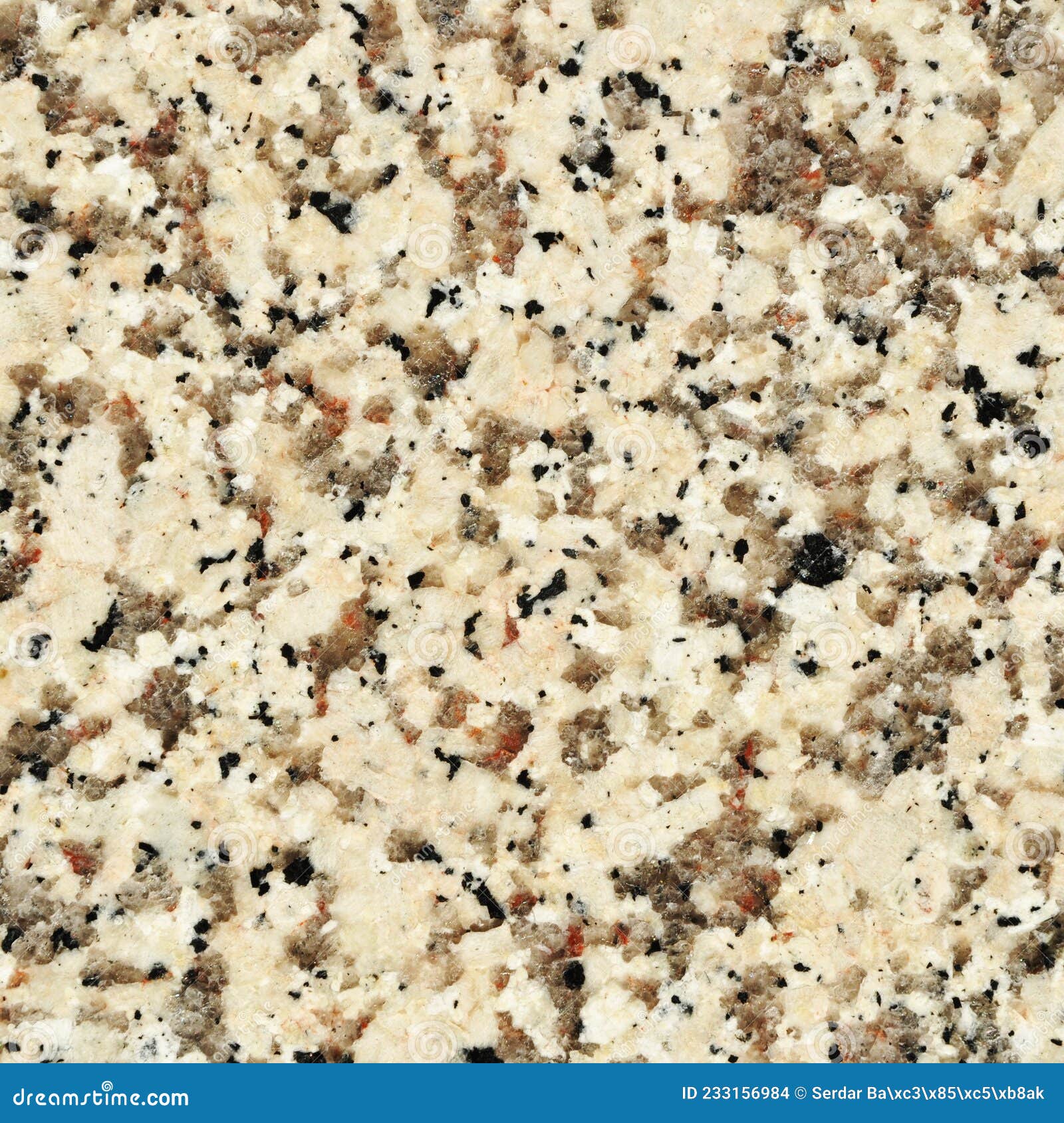 Detail of the Polished Beige Granite Texture Stock Photo - Image of home, granite: 233156984