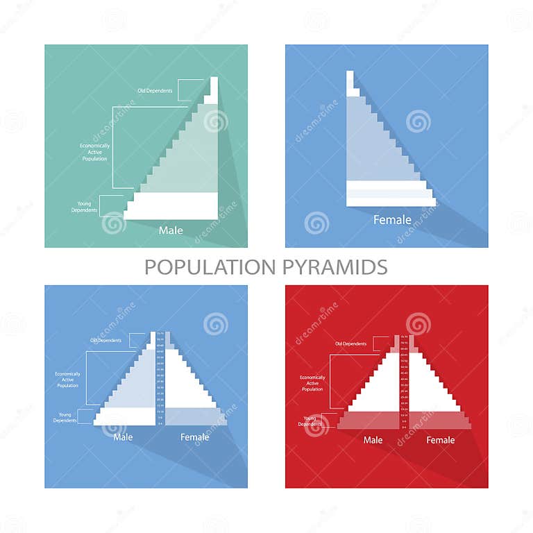Detail of Population Pyramids Graphs Depend on Age Stock Vector ...