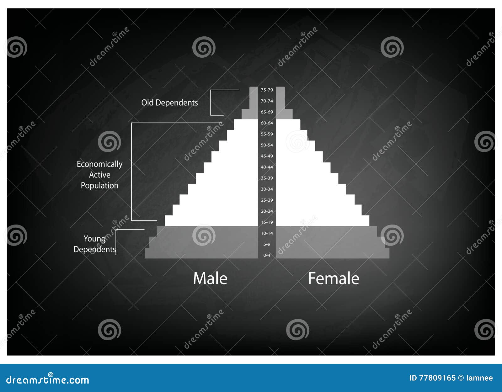 Detail Of Population Pyramids Graphs Depend On Old Paper Background ...