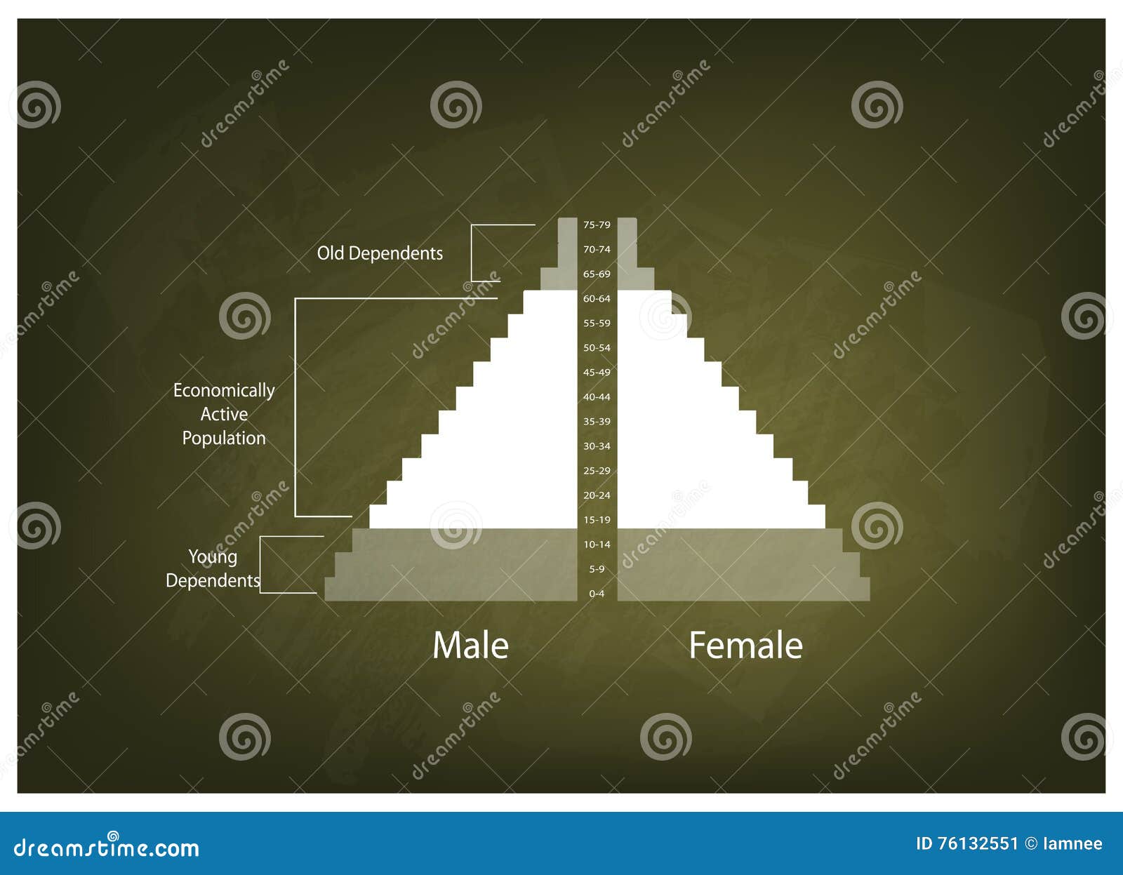 Detail of Population Pyramids Graphs Depend on Age Stock Vector ...