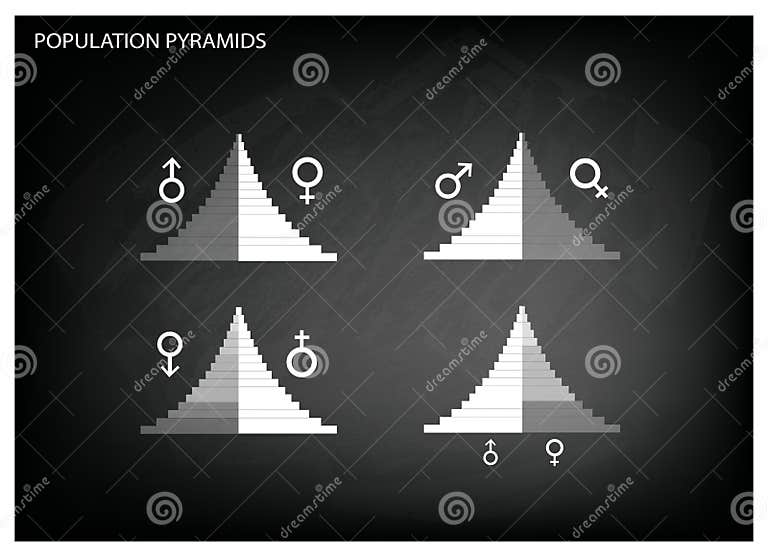 Detail Of Population Pyramids Graphs Depend On Age And Sex Stock Vector