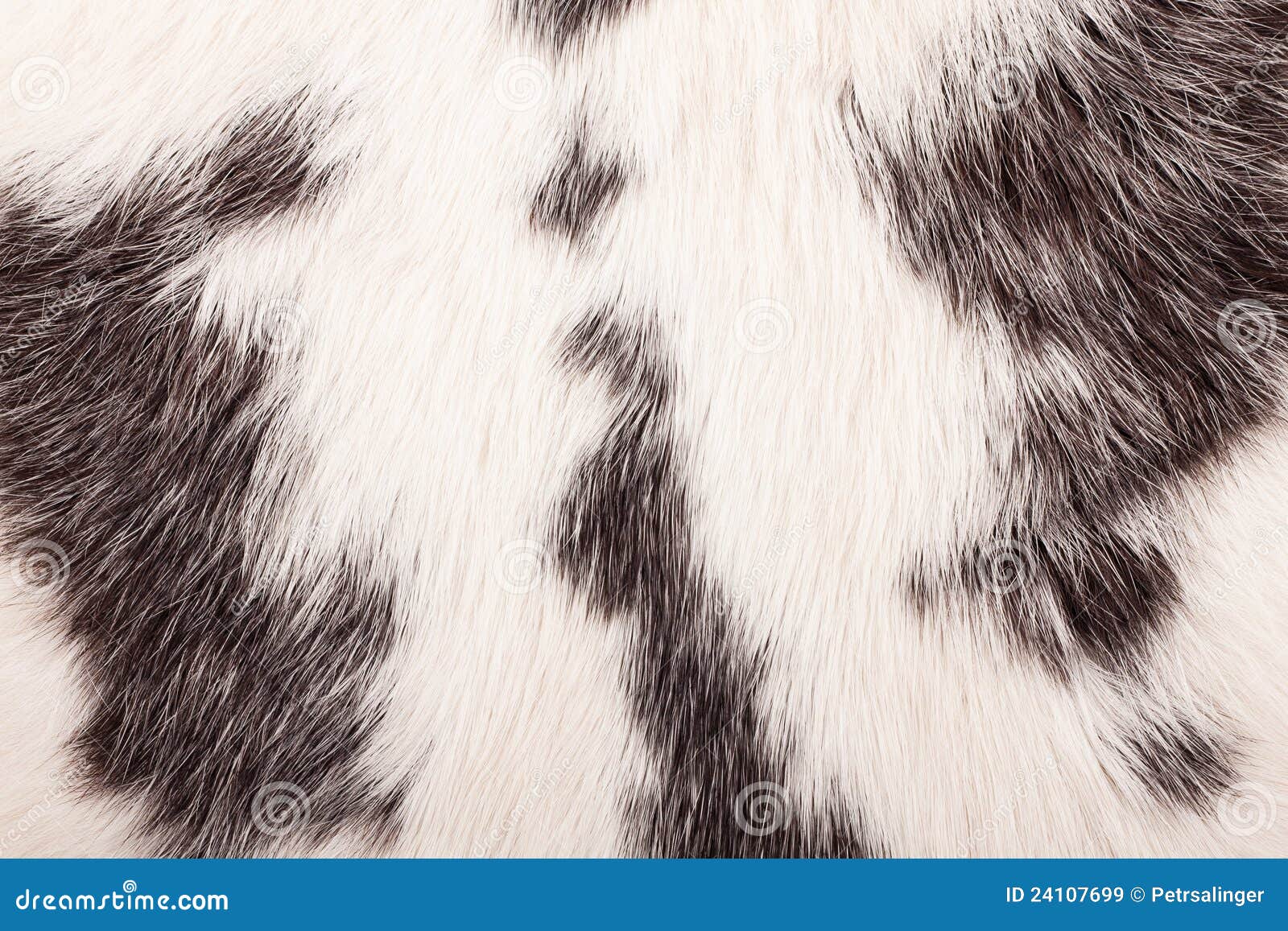 Detail of rabbit fur stock image. Image of furry, lines - 24107699